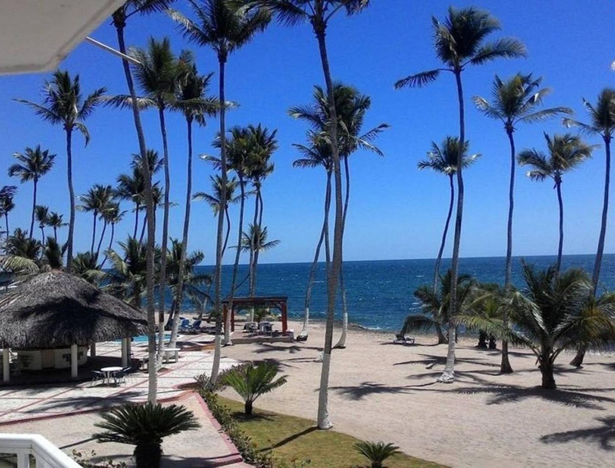 Albatros Club Resort | SkyTravelClub