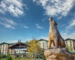 Affiliated Resorts: RCI