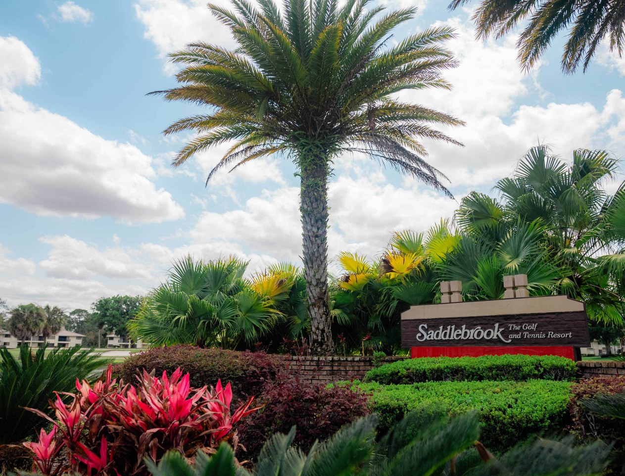 Saddlebrook Resort | The SkyTravelClub