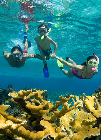 RCI - Reshaping The World of Travel With An All-New Travel Network