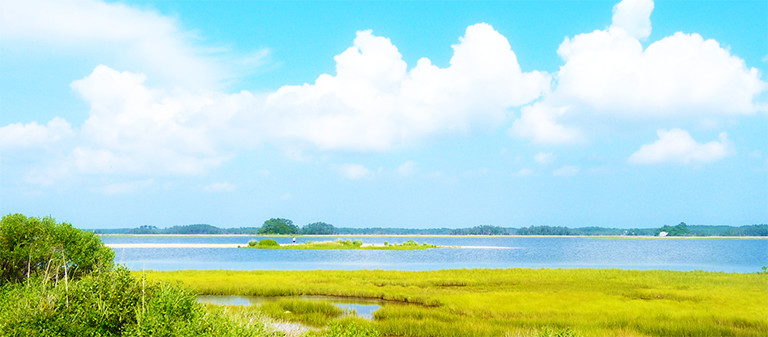 RCI - the largest timeshare vacation exchange network in the world